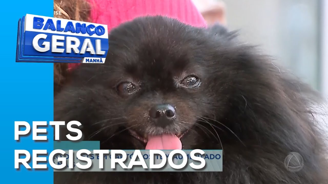 É O BICHO: Confira a edição do quadro desta quinta-feira (27) - Balanço ...