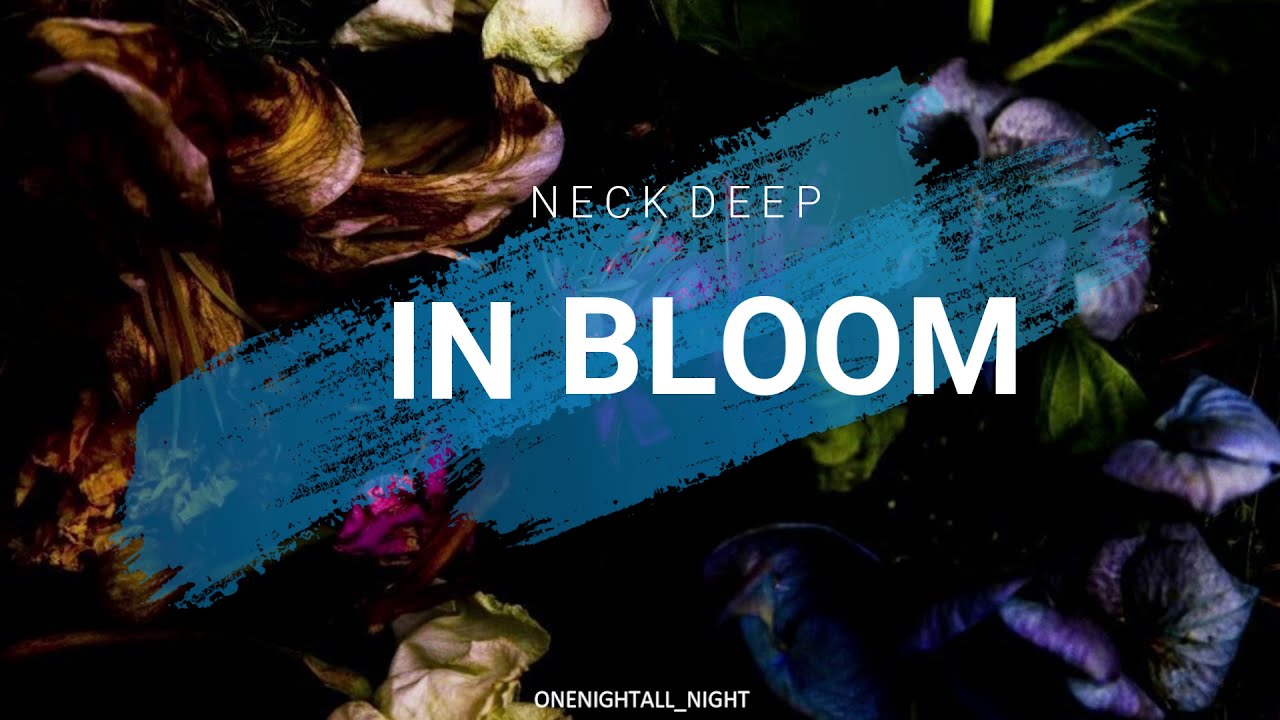 Neck Deep- In Bloom (Traducida al Español) - YouTube