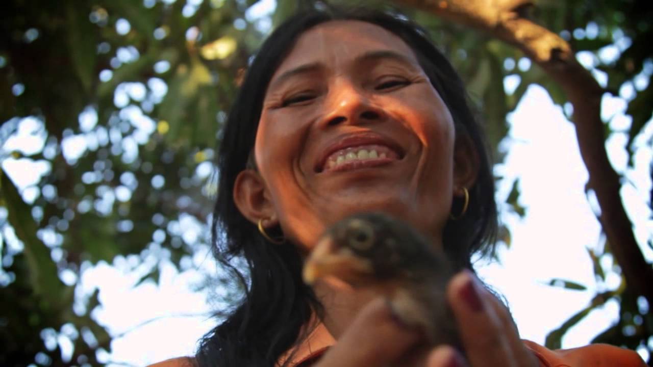 Animals & Agriculture Livelihoods - YouTube