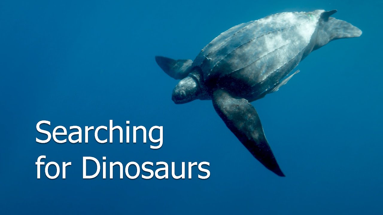 Searching for Dinosaurs - YouTube