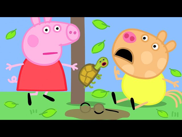 Peppa and Pedro rescue a Tortoise @Peppa Pig - Official Channel ...