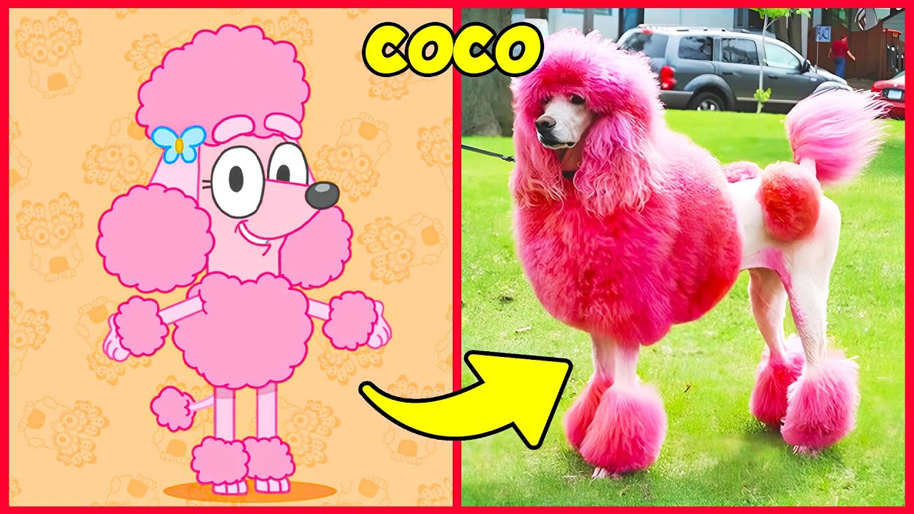 Bluey 🔥 Characters IN REAL LIFE 💙 - YouTube