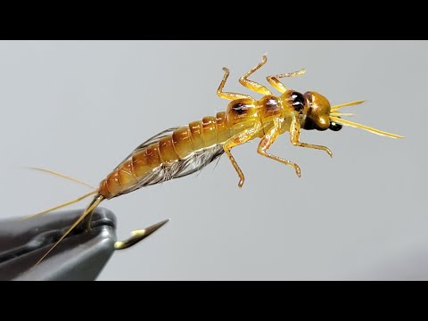 Tying the Fly That Could Save Your Fishing Trip - The Burrowing Mayfly