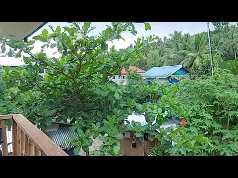 Balite, Villaba leyte 🇵🇭 - YouTube