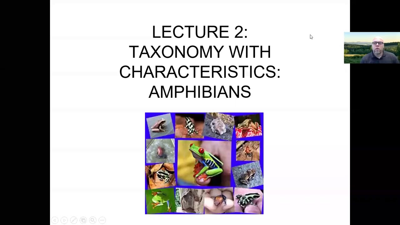 Lecture 2: Taxonomy of Extant Amphibians: Anurans - YouTube