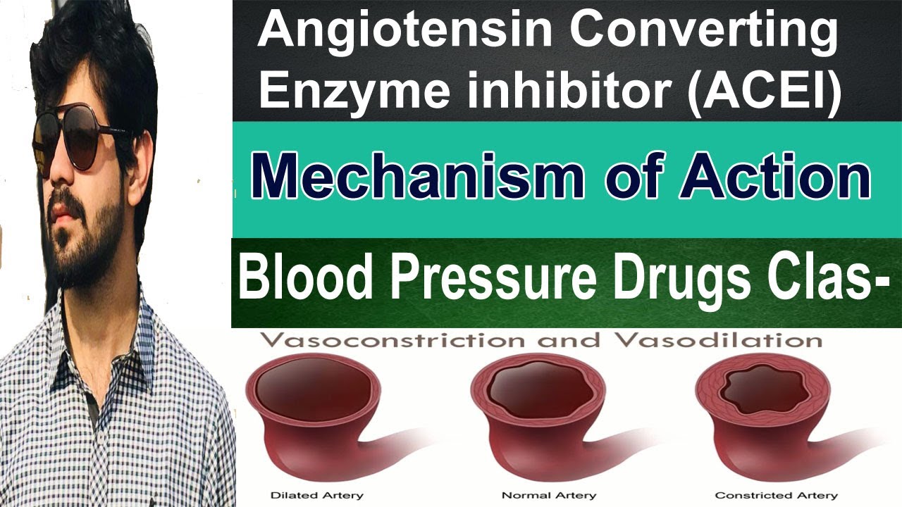 Angiotensin Converting Enzyme inhibitor ACEI-Mechanism of Action-Blood ...