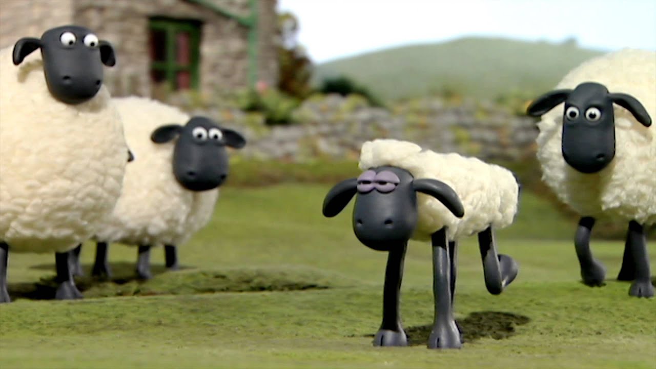 SHAUN THE SHEEP - Cùng cừu Shaun đá bóng - YouTube