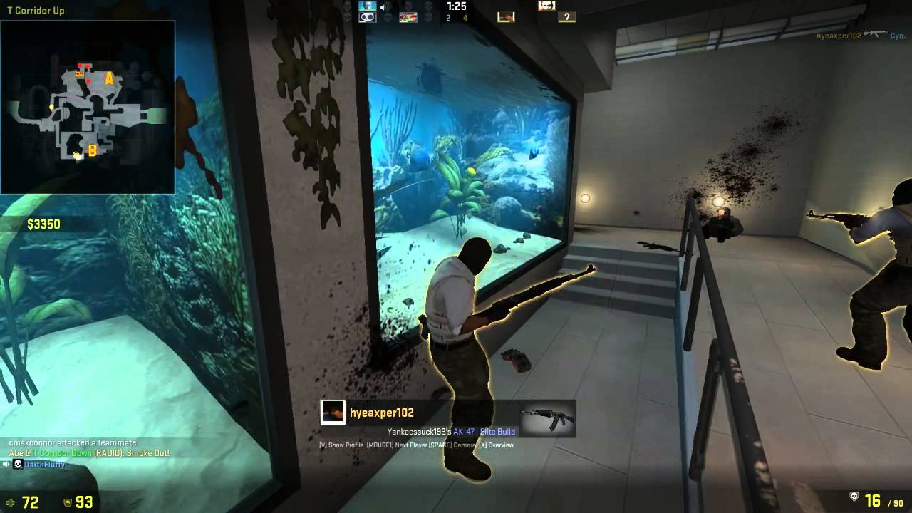 Playing a round at the Zoo - CSGO - YouTube