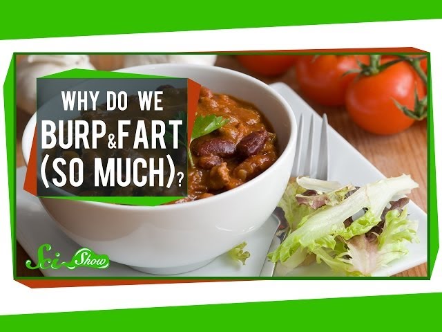 Why Do We Burp and Fart (So Much)?! | Video Summary and Q&A | Glasp