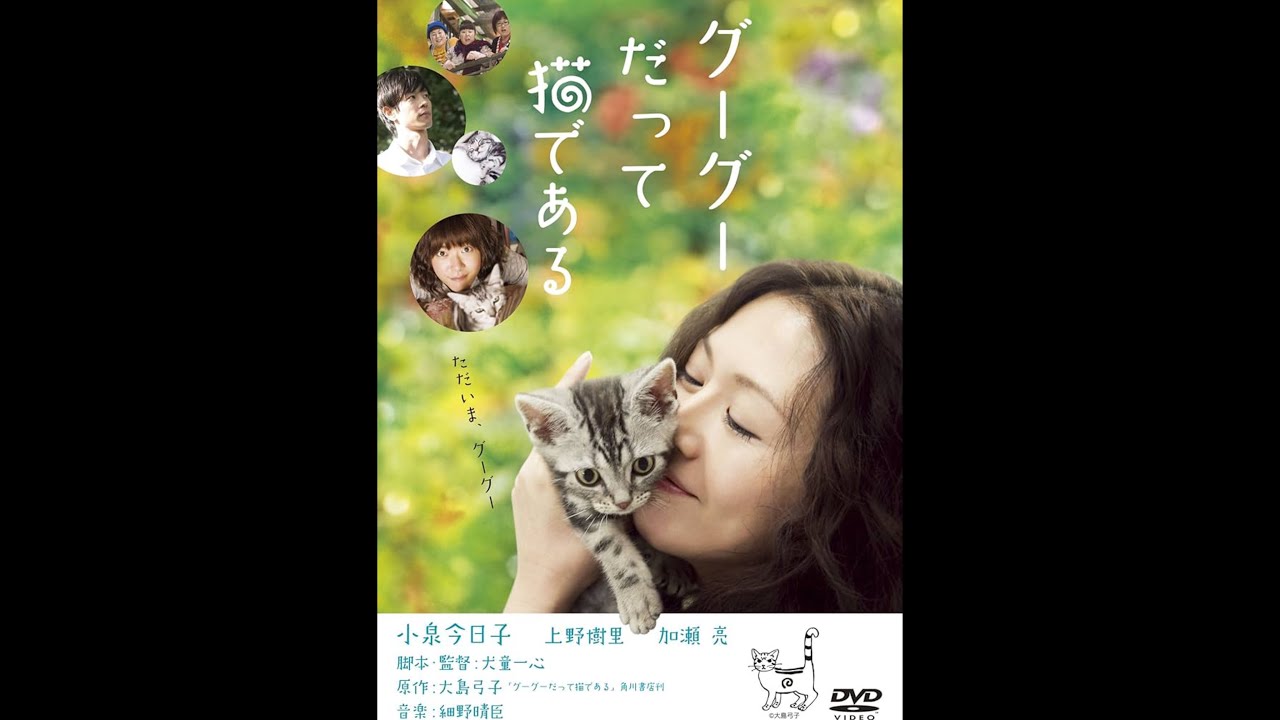 Opening to Gou Gou, The Cat (2008) 2009 DVD - YouTube