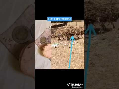 Traditional Of Serer