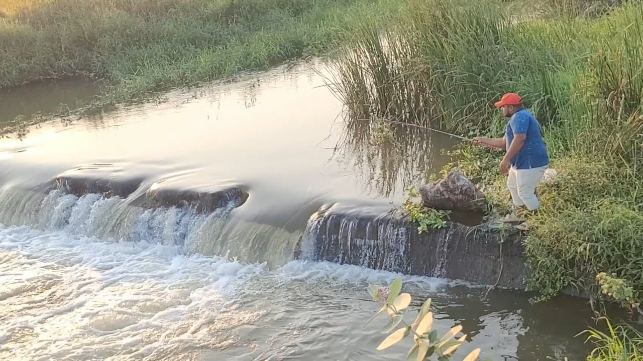 Traditional Baam fishing Video|Fisherman Catching Baam(Indian eel ...
