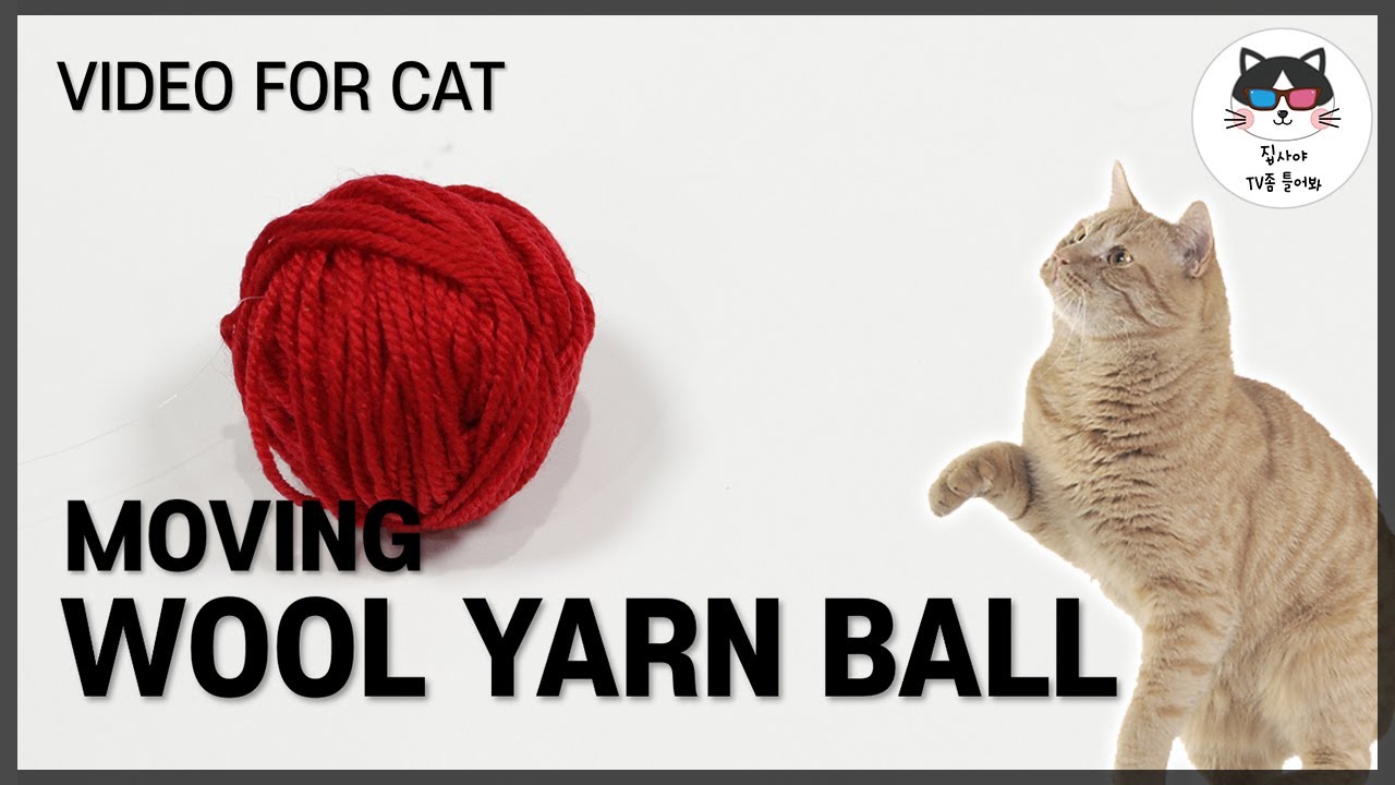 [CAT GAMES] show this video for cat! (moving red wool yarn ball) - YouTube