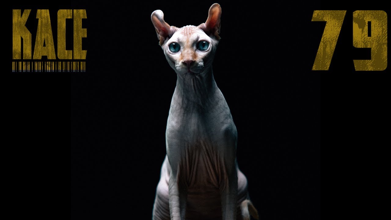 Ragga Jungle & Reggae DnB (vol. 41) - Kace - 2021 - YouTube