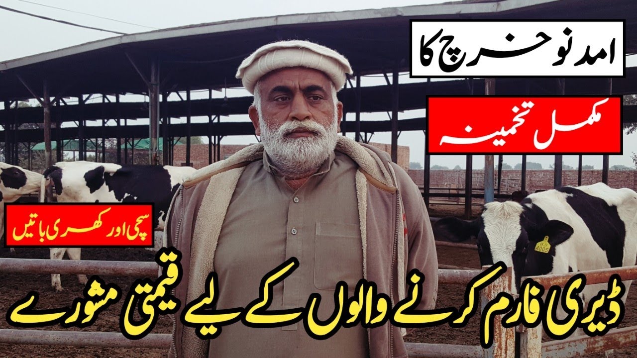 How to Start Small Dairy Farm|Dairy Farming Tips|dairy Farming business ...