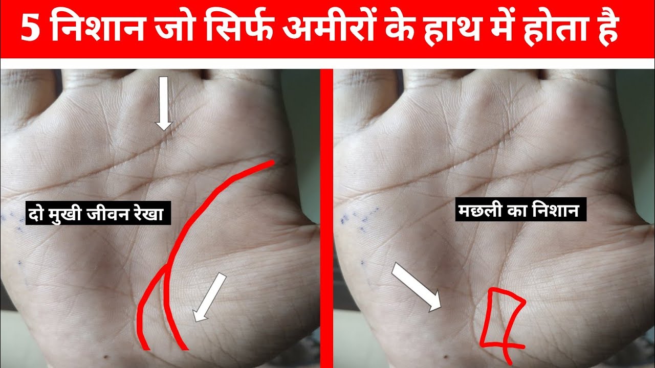 5 निशान जो आपको अमीर जरूर बनाएंगे /luckyhand/lucky sign in hand/jeevan ...