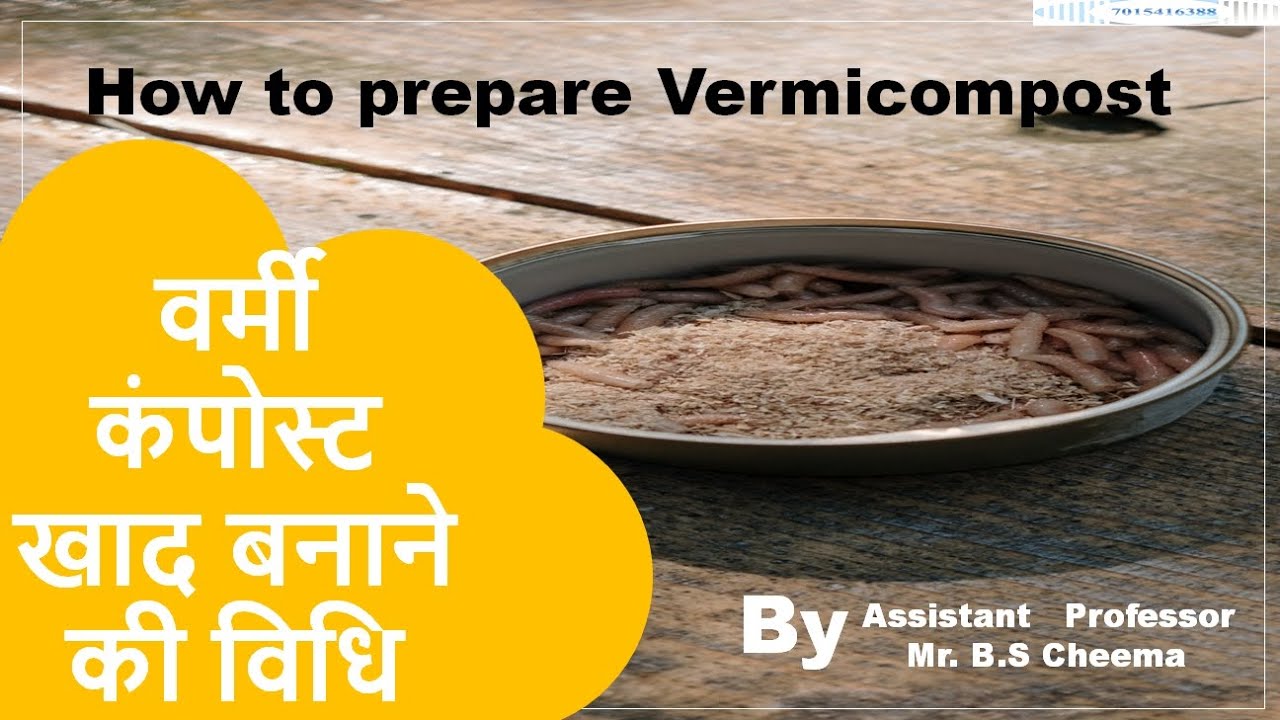 How to prepare vermicompost at home - YouTube