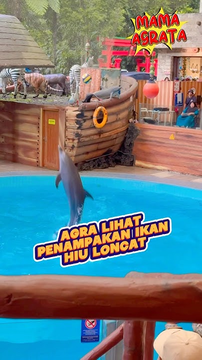 vlog liburan agra lihat penampakan ikan hiu loncat 😱Part 491 - YouTube