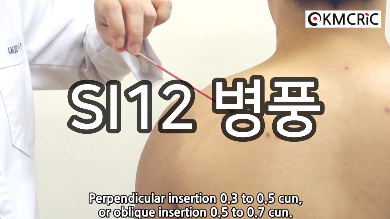 SI12 병풍 秉風 Bingfeng (Eng sub) - KMCRIC WHO Standard acupoint DB - YouTube
