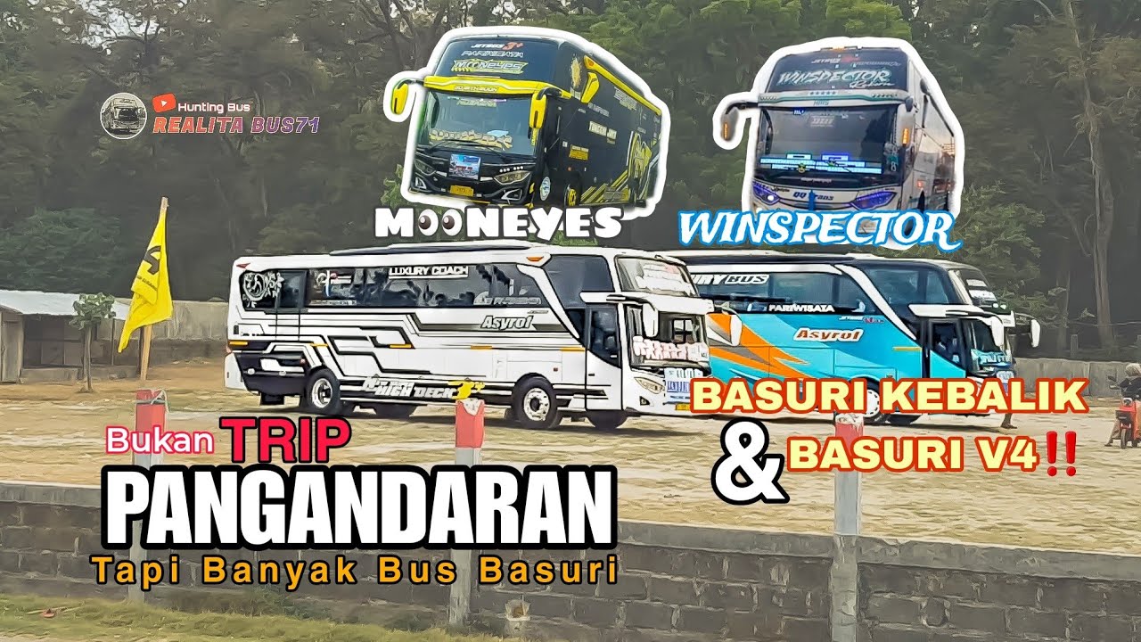 BANYAK BUS BASURI DI PANGANDARAN‼️ QQ TRANS, ASYROF, TUNGGAL JAYA ...
