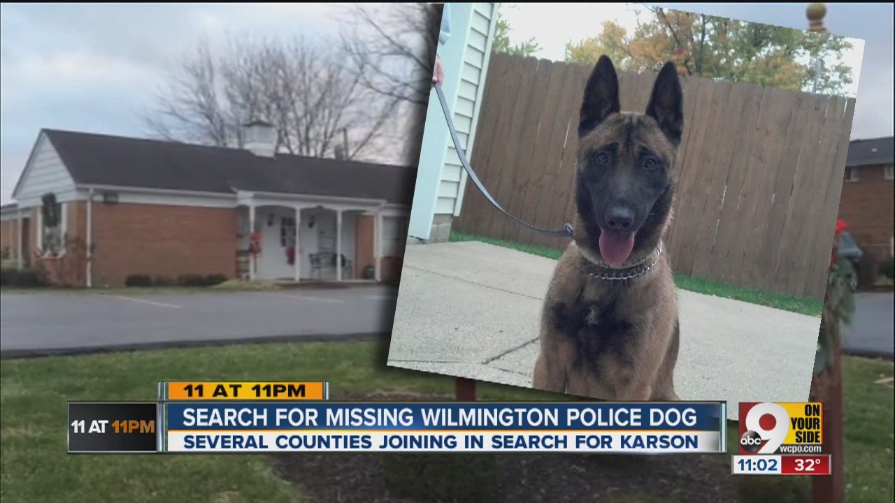Search for missing Wilmington police dog - YouTube