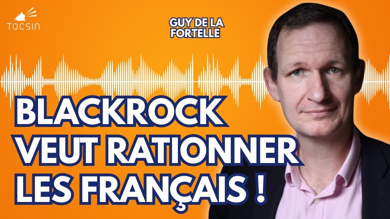 « L'euro numérique est là pour mettre l'économie sous cloche ! » - Guy ...