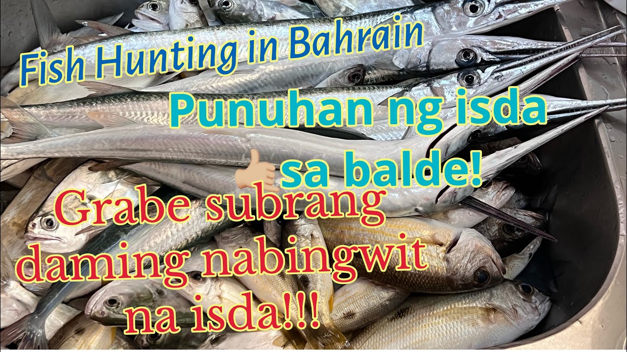 Fish hunting in Bahrain (punuhan ng isda sa balde Part 1) #diy #fishing ...