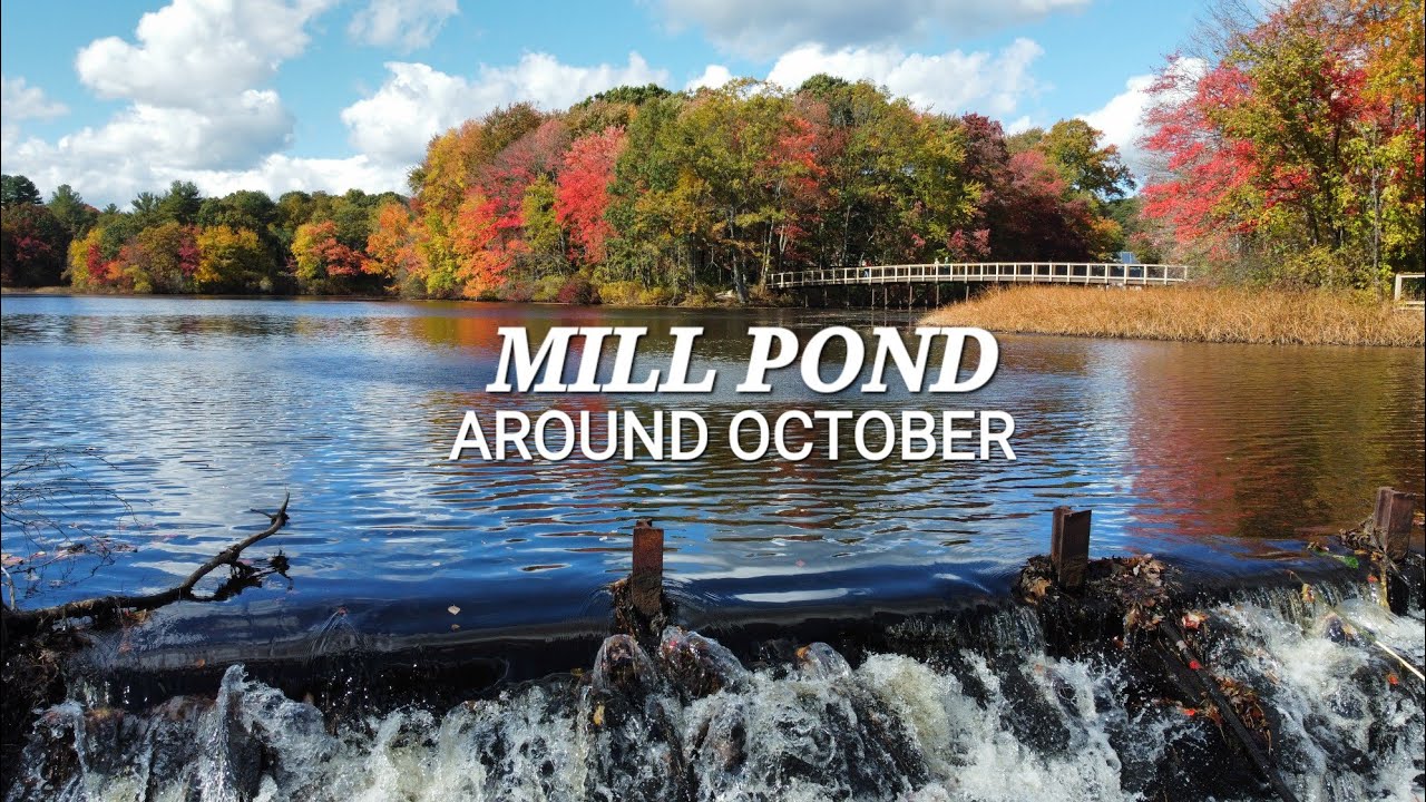 Mill Pond Around October - YouTube