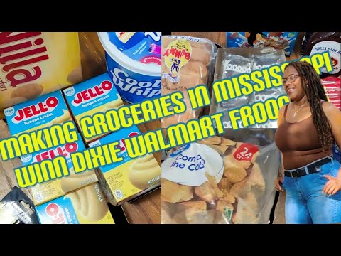 Winn Dixie, Walmart Froogles grocery haul, Making Groceries in ...