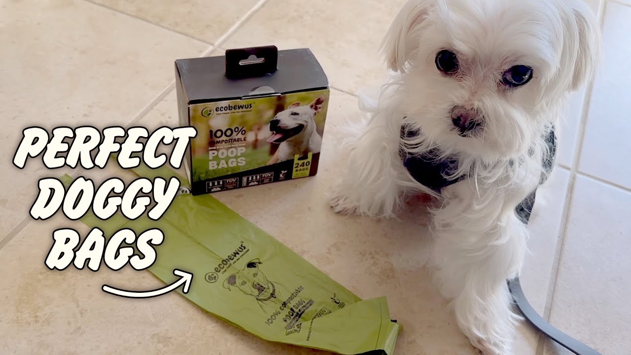 QUICK LOOK: Doggy Bags - Must-Have Items for Every Pet Parent! - YouTube
