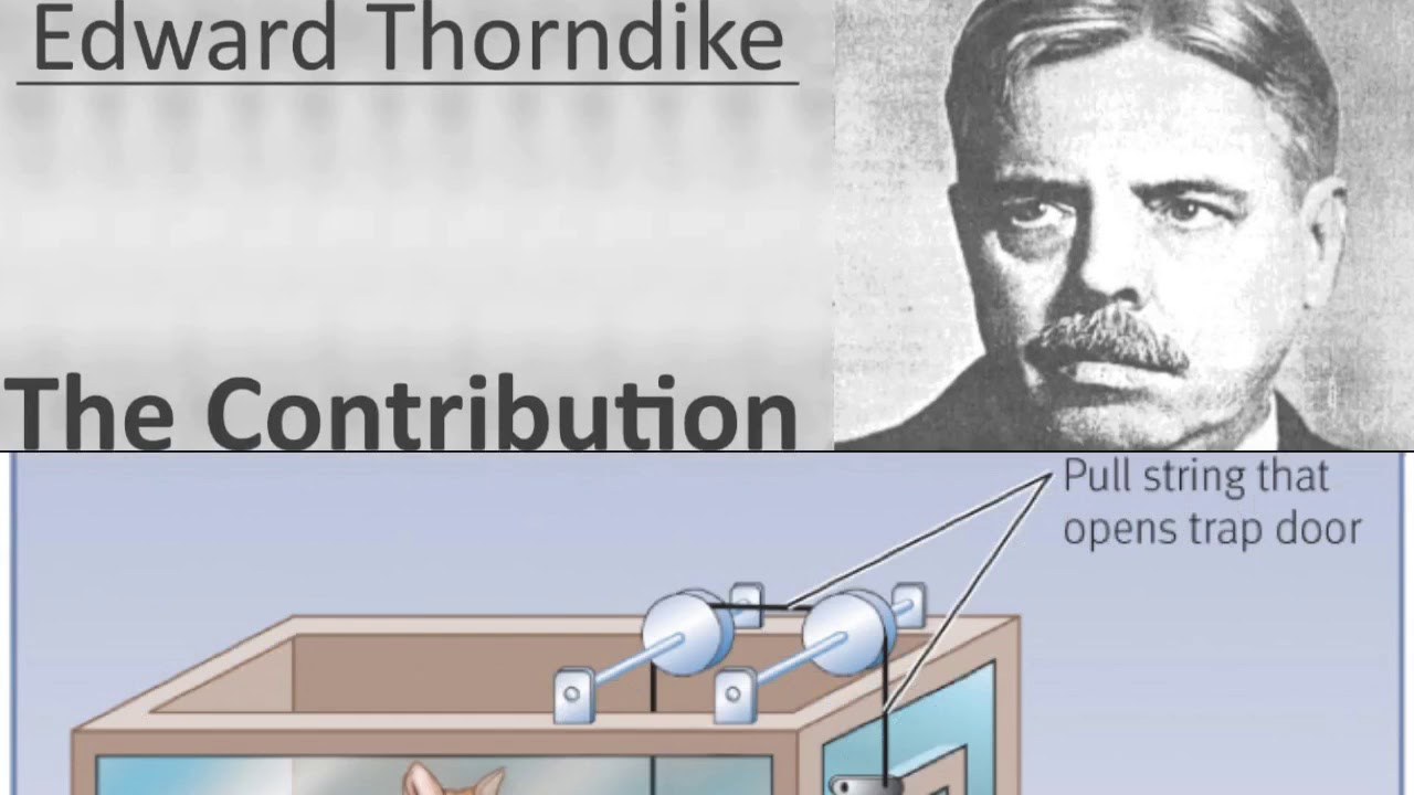 Edward Thorndike - YouTube