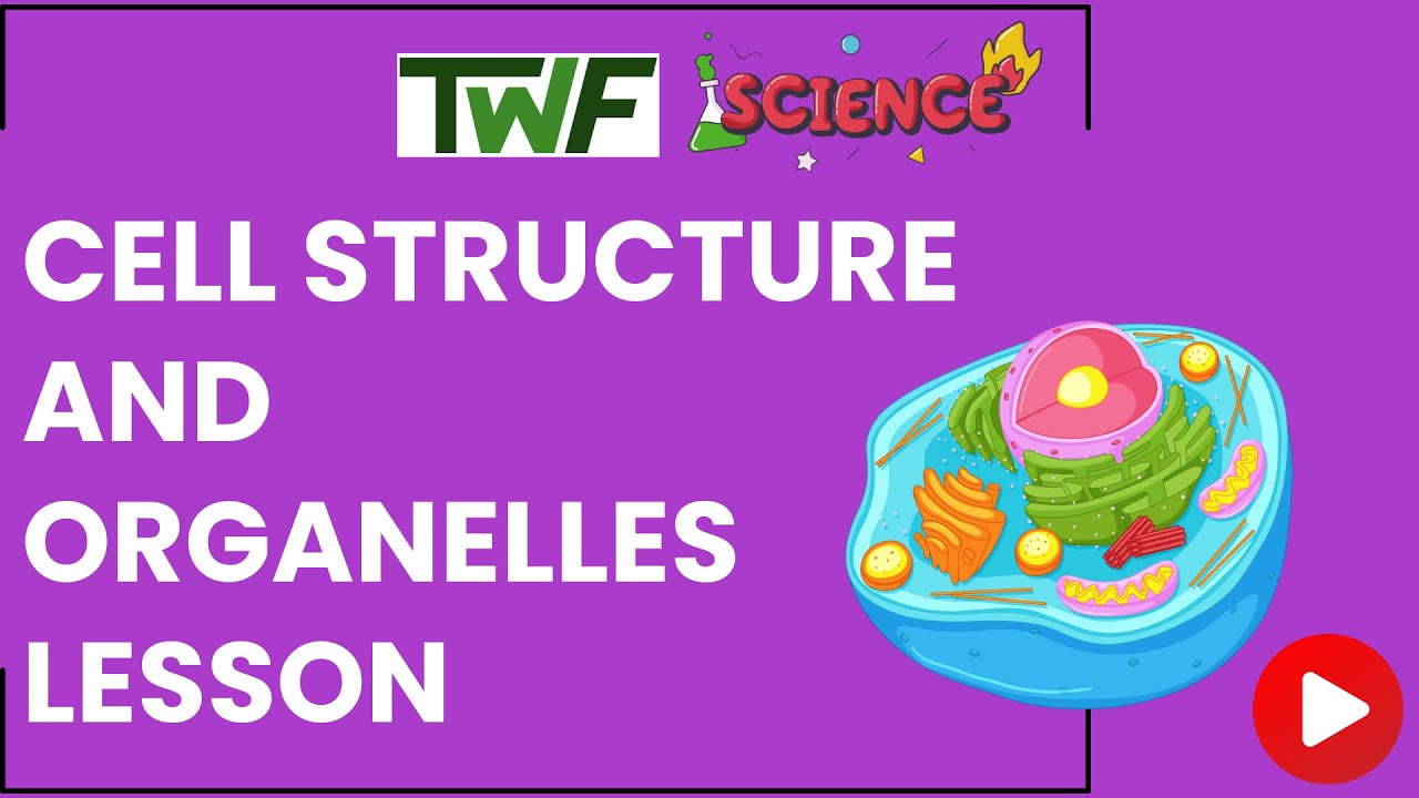 Cell Structure and Function Lesson - Biology Lesson - Grades 9-11 - YouTube