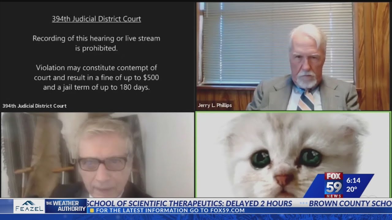 Lawyer can't get rid of cat filter during Zoom business call - YouTube