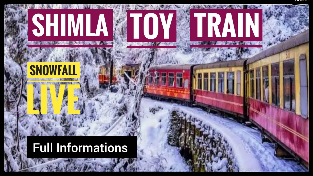 Shimla toy train in snow। Kalka to shimla toy train snow | Shimla train ...