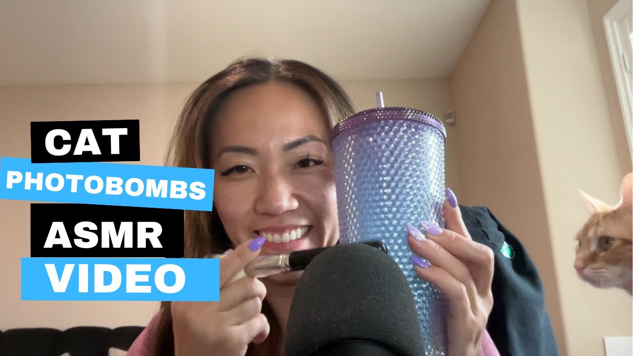 Tapping and Scratching My Favorite Cup ASMR | Kitty Appearance ...