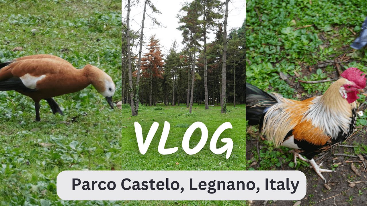 Exploring Parco Castelo, Legnano, Italy - A Vlog Adventure - YouTube