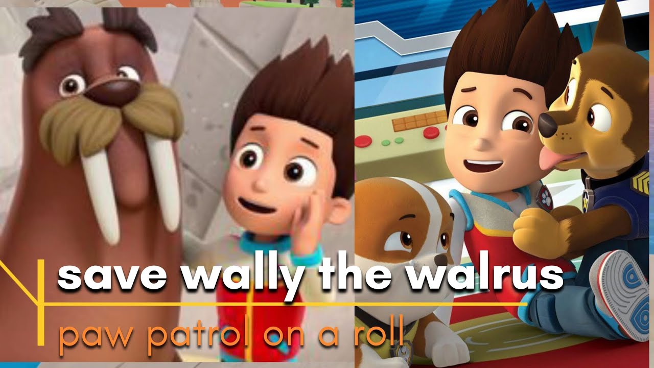 paw patrol on a roll || save wallay the walrus 🦭🦭 HD walkthrough ...