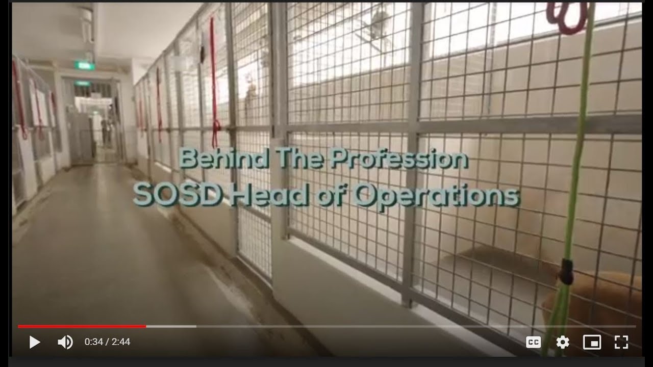 Behind The Profession - SOSD Head of Operations - YouTube