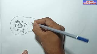 How to draw entamoeba histolytica || biology practical ... | Doovi