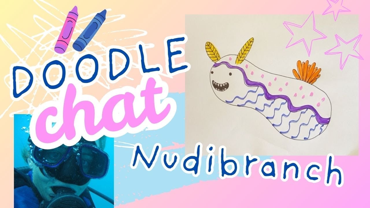 Doodle Chat - How to Draw a Nudibranch! - YouTube