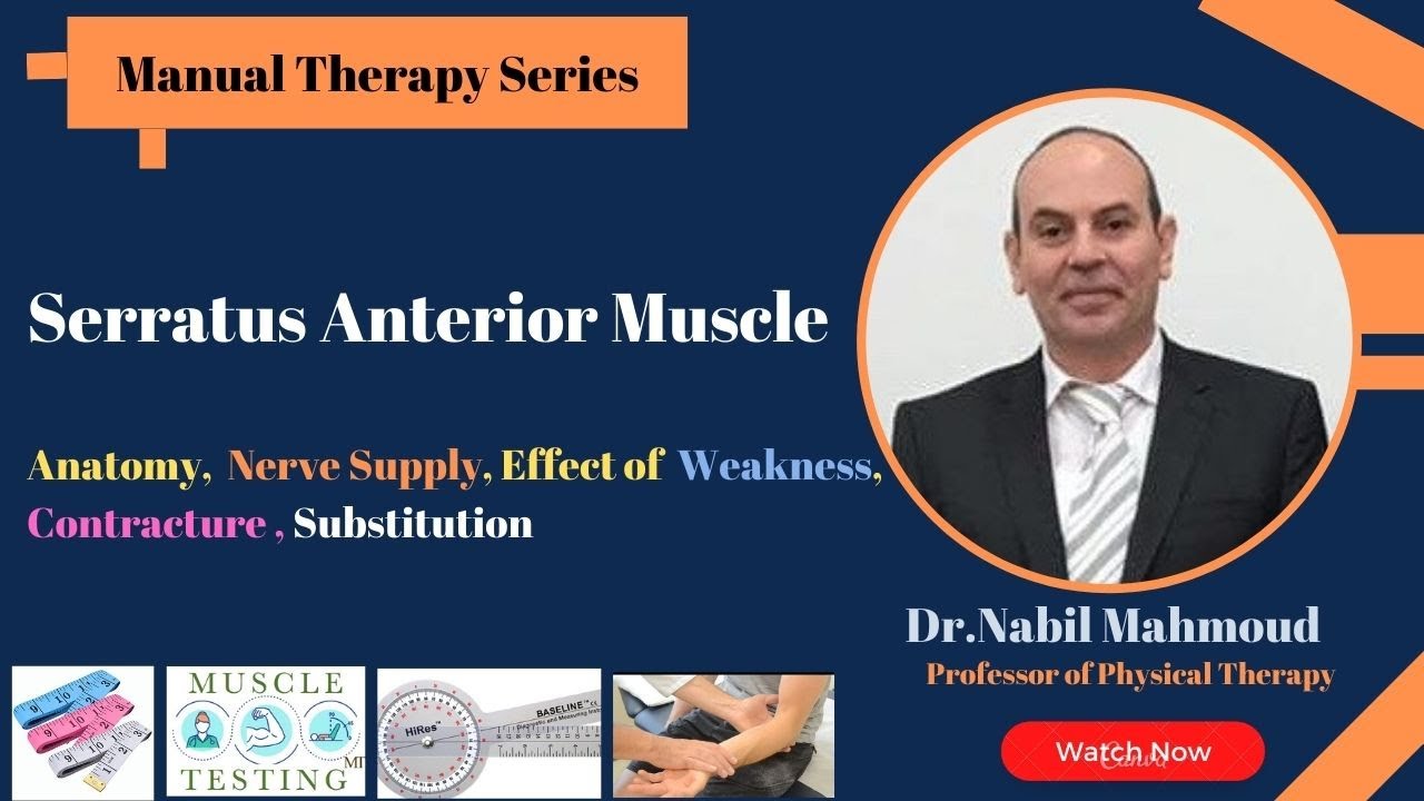 Scapular Abduction And Upward Rotation YouTube scapular-abduction-and-upward-rotation-youtube