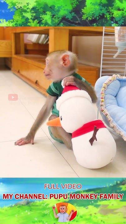 Sad PUPU monkey looks so pitiful. - YouTube
