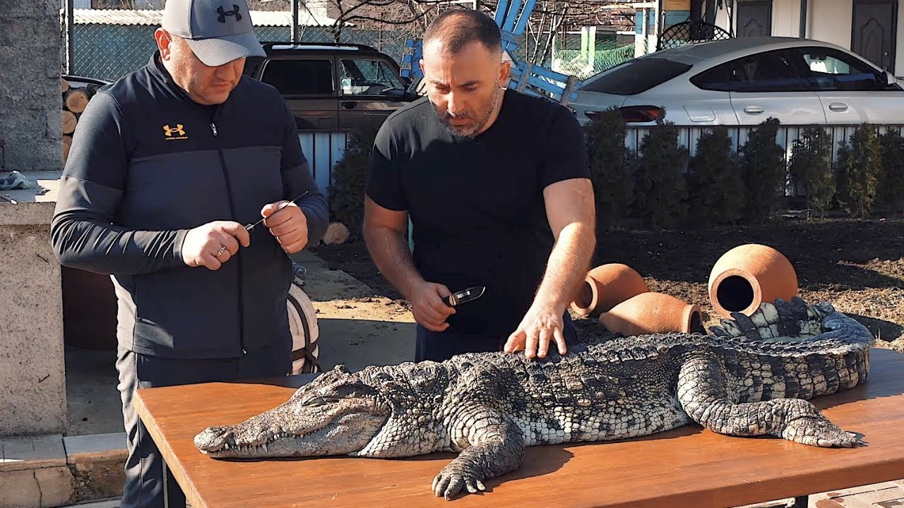 CROCODILE MEAT on a CHARCOAL GRILL, GRILLED CROCODILE MEAT. - YouTube