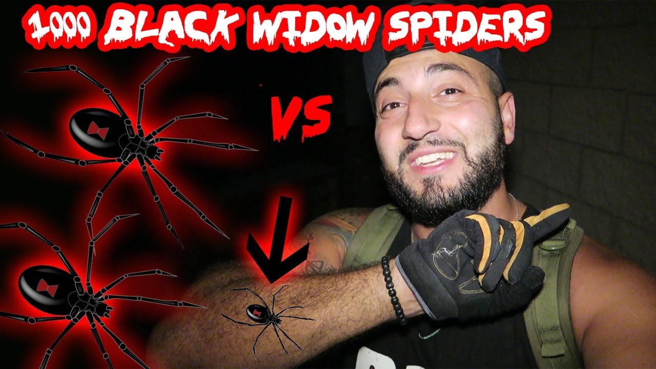 (BLACK WIDOW SPIDER) OVERNIGHT CHALLENGE IN AN ABANDONED TOWN INFESTED ...