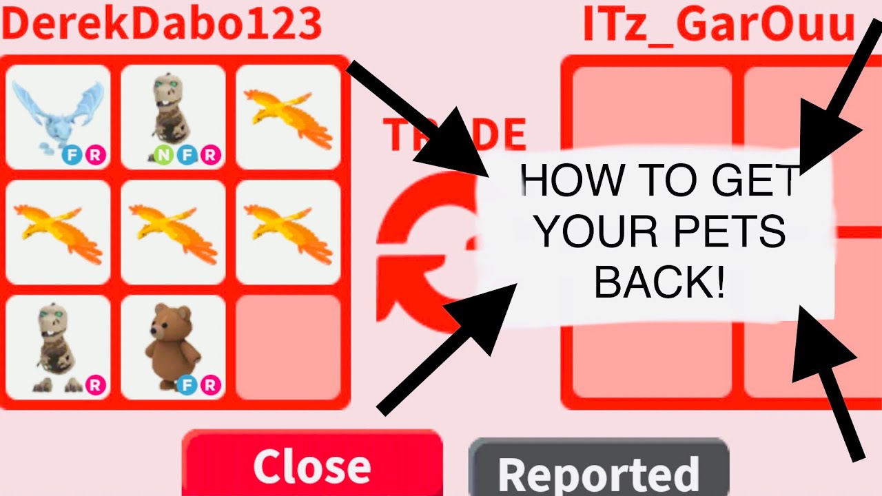 What to do if you’ve been HACKED, SCAMMED, or LOST YOUR ITEMS in Adopt ...