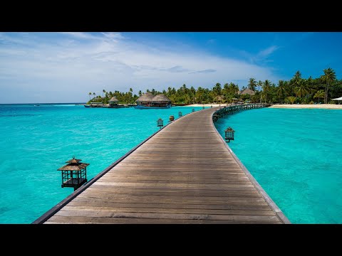 Best song nature whatsapp status♥️♥️🔥 || Nature WhatsApp status || Nature love whatsapp status