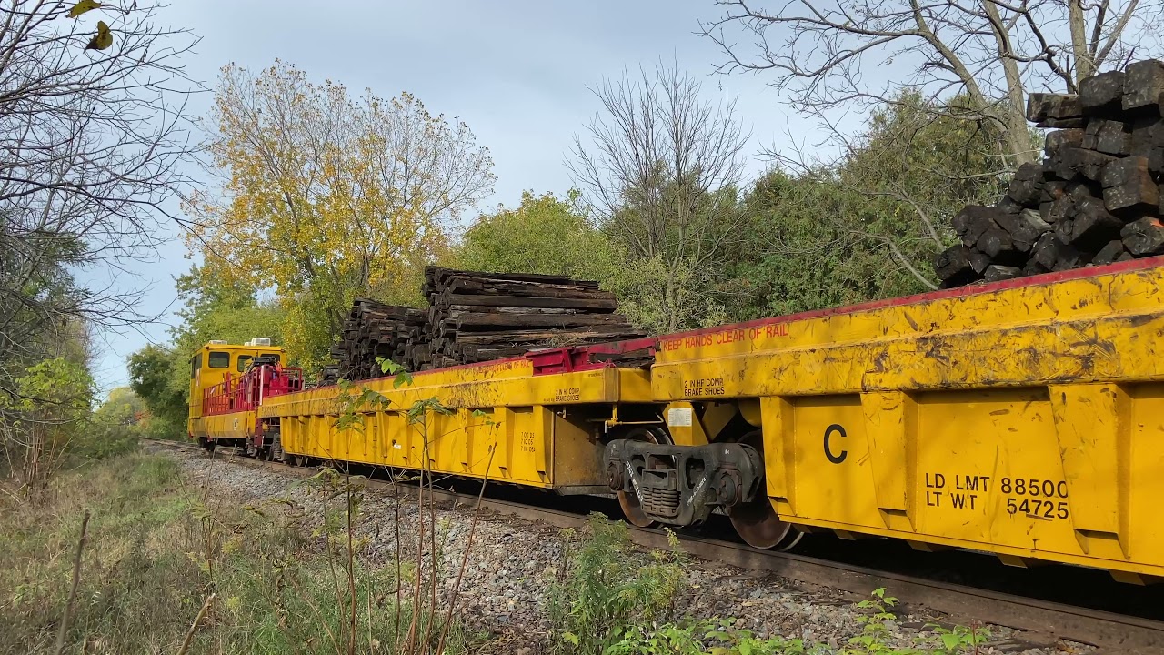 Herzog Train on The Beachburg Sub. CN Rail Ottawa Ontario October 2021 ...