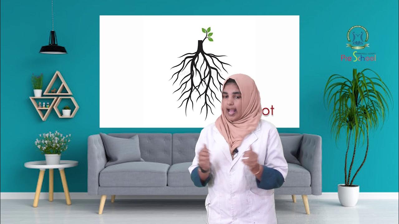 A Plant Online GK Class 32 Base 2 Markazul Uloom Pre School a-plant-online-gk-class-32-base-2-markazul-uloom-pre-school