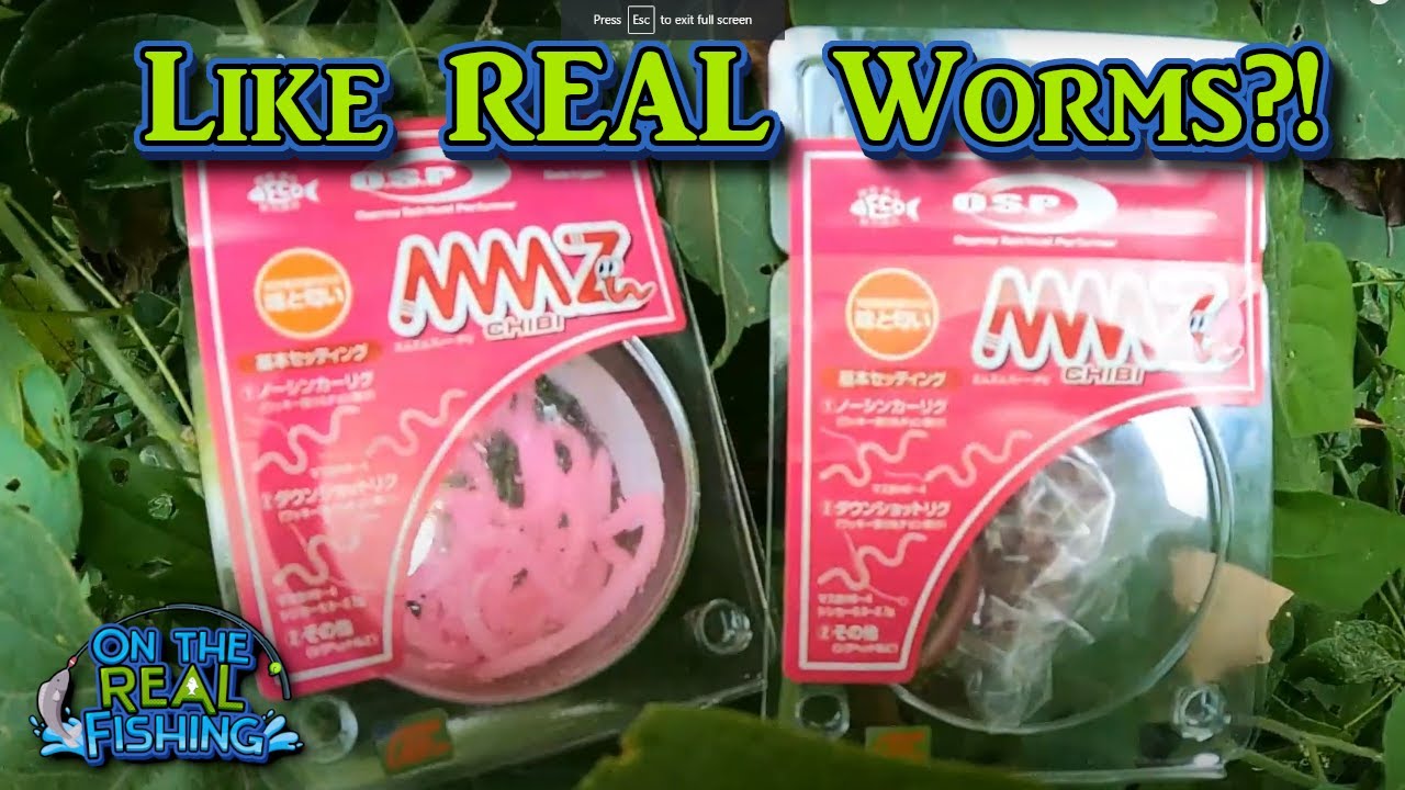 Fishing with the MMZ Chibi Worms! The Most REALISTIC Plastic Worms Ever ...