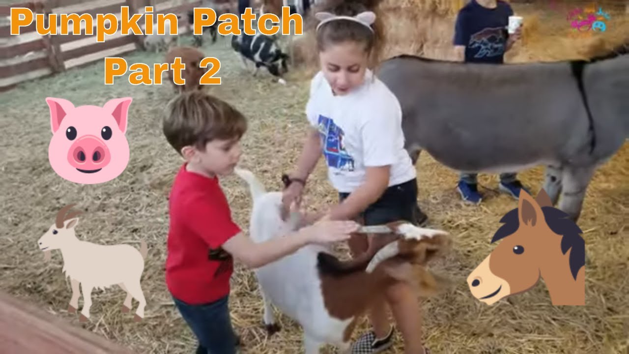 Chloe and Jude Pumpkin Patch Part 2 | Super Cute | Must Watch! - YouTube